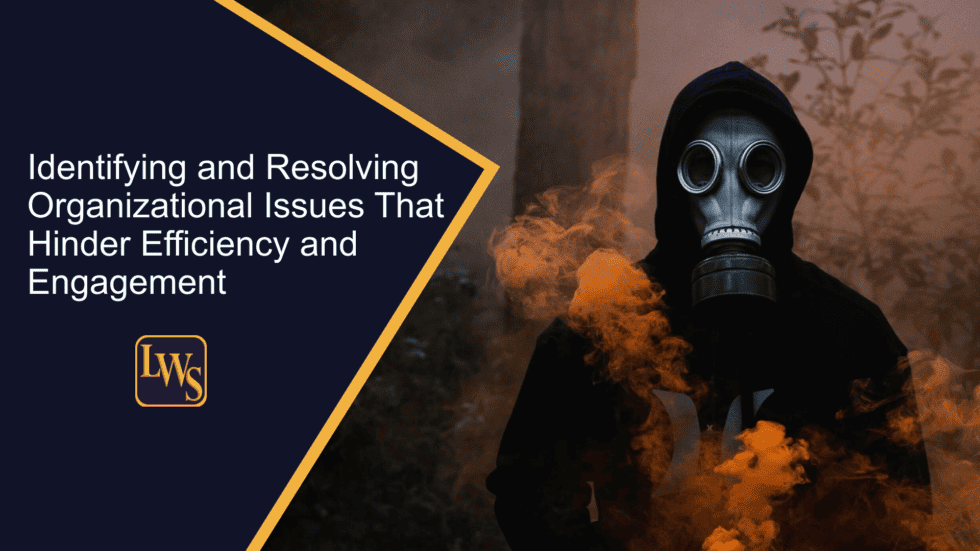 Identifying and Resolving Organizational Issues that Hinder Efficiency ...